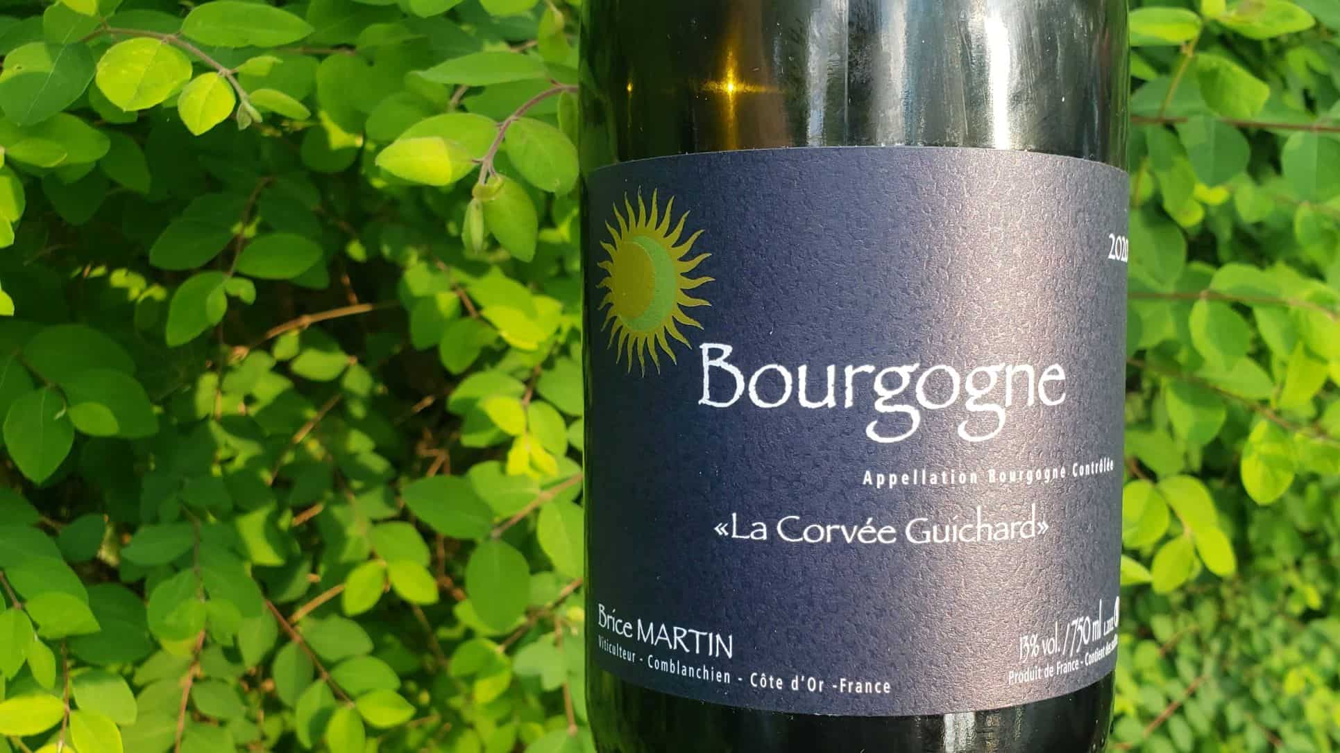 Bourgogne La Corvée Guichard 2020, Brice Martin - Wine Fun