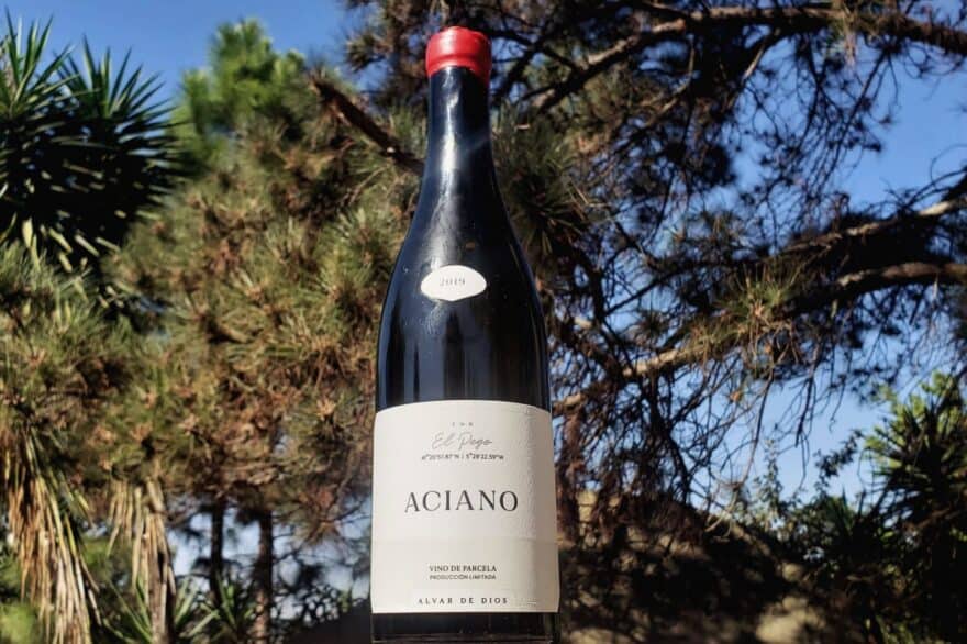 Aciano Vino de Parcela 2019, Alvar de Dios - Wine Fun