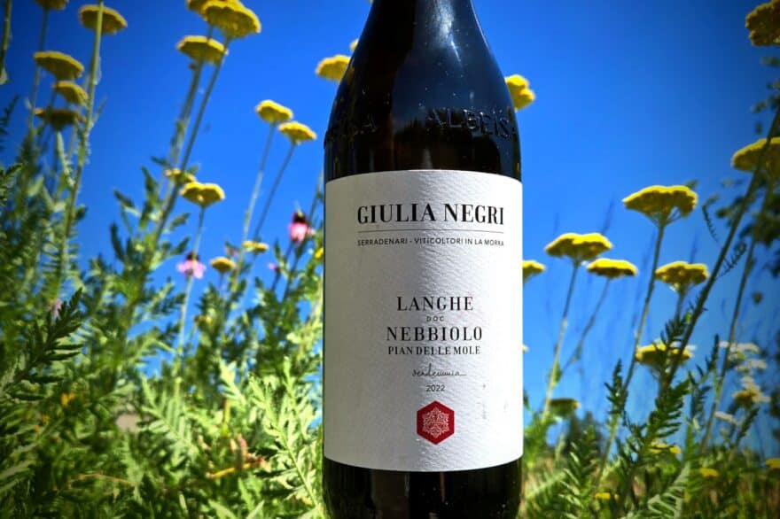 Langhe Nebbiolo Pian delle Mole 2022, Giulia Negri - Wine Fun